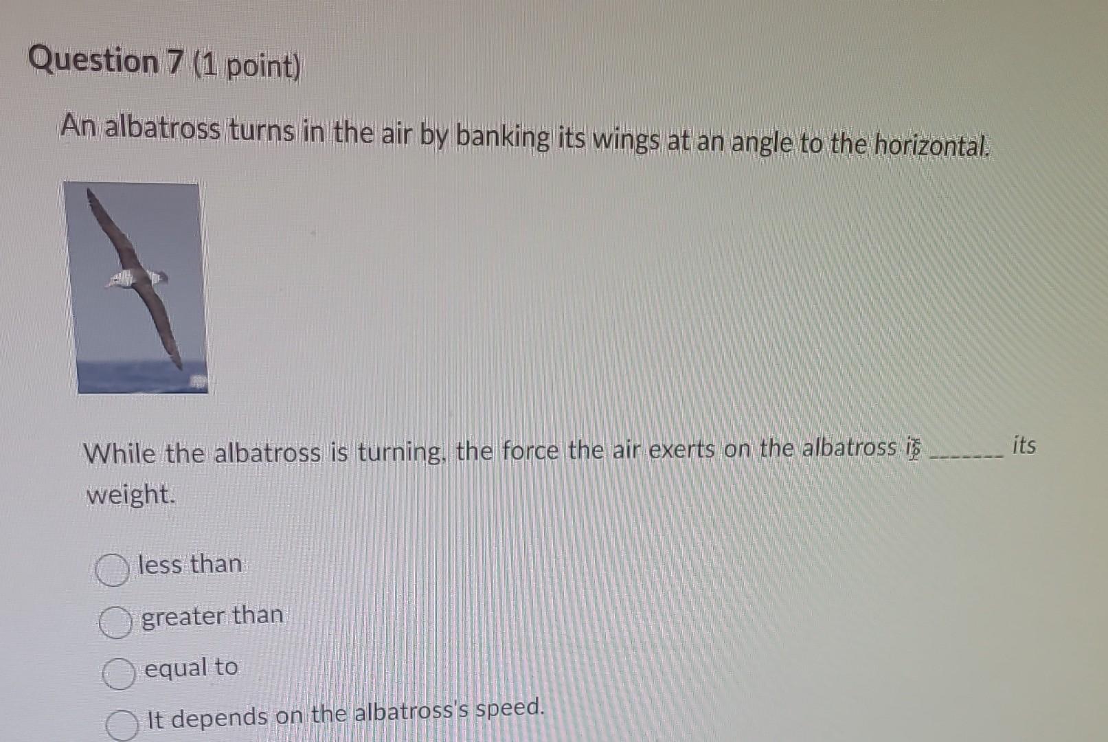 Solved Consider a rider on the spinning swings ride as shown | Chegg.com