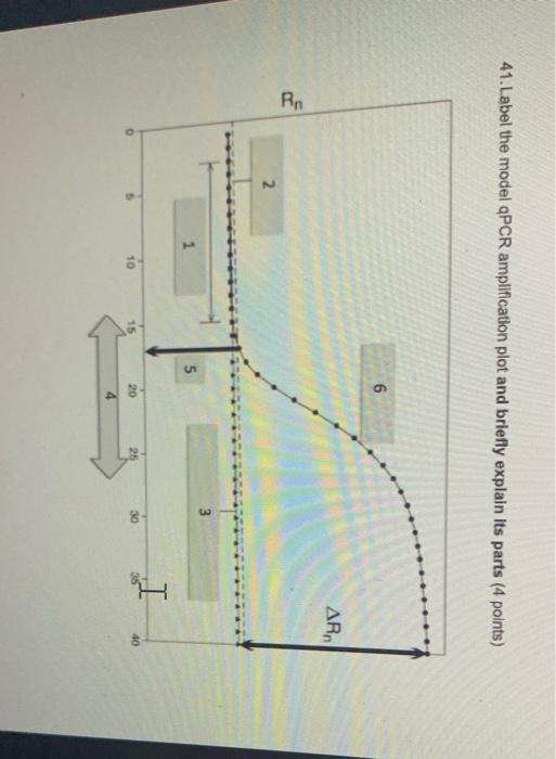 Solved 41. Label the model qPCR amplification plot and | Chegg.com