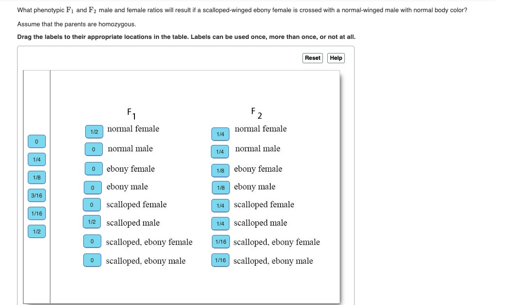 Solved What phenotypic F1 ﻿and F2 ﻿male and female ratios | Chegg.com