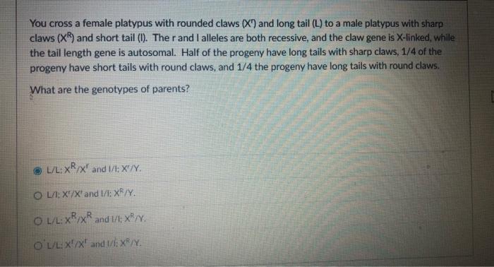 Solved You cross a female platypus with rounded claws (X) | Chegg.com