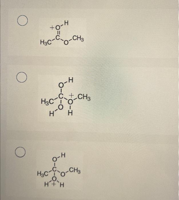 Solved Which intermediate is not involved in the conversion | Chegg.com