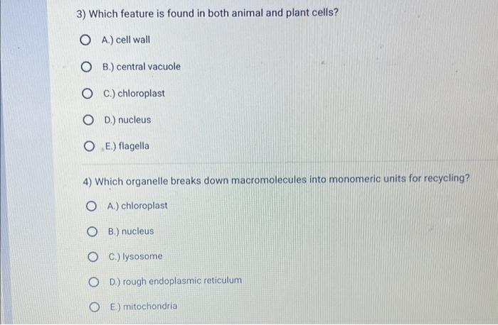 Solved 1) Which feature is found in both prokaryotic and | Chegg.com