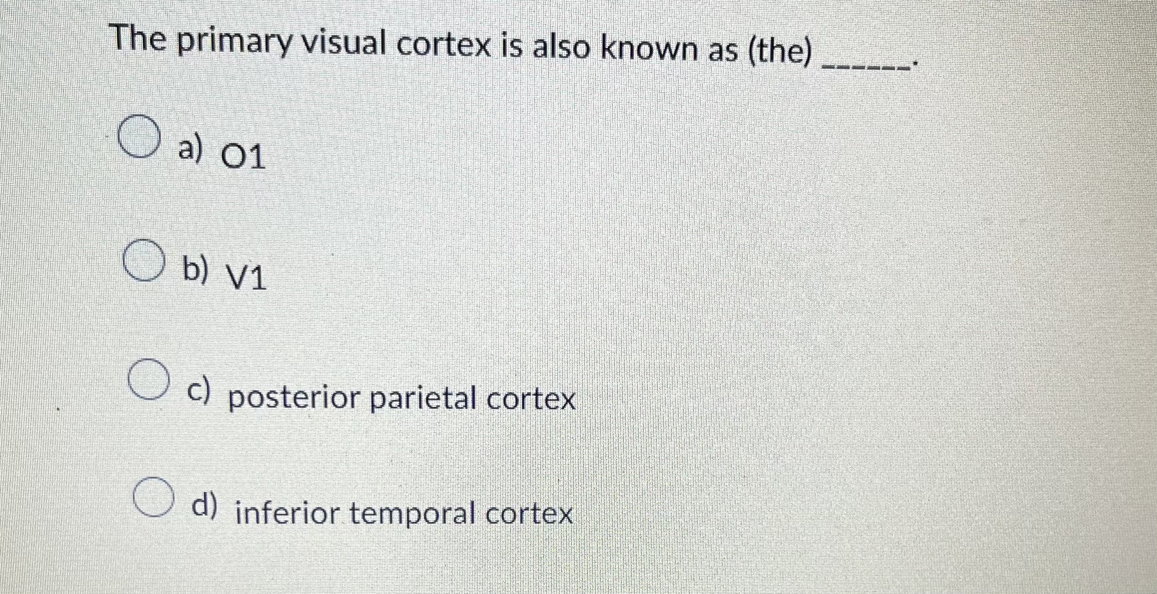 Solved The primary visual cortex is also known as | Chegg.com