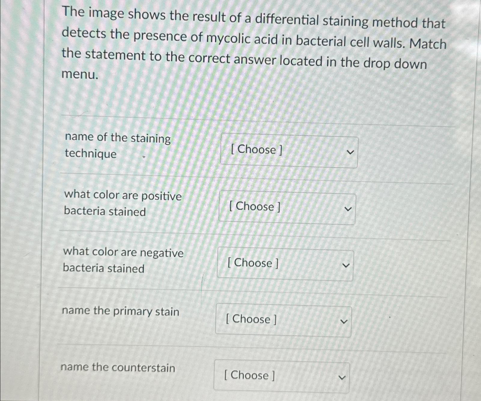 Solved The image shows the result of a differential staining | Chegg.com