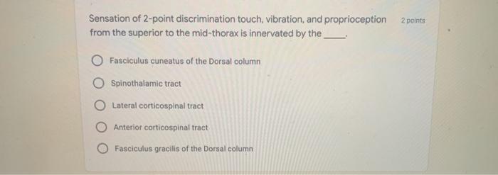 Solved 2 points Sensation of 2-point discrimination touch, | Chegg.com