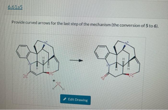 Solved Strychinine (6), a notorious poison isolated from the | Chegg.com