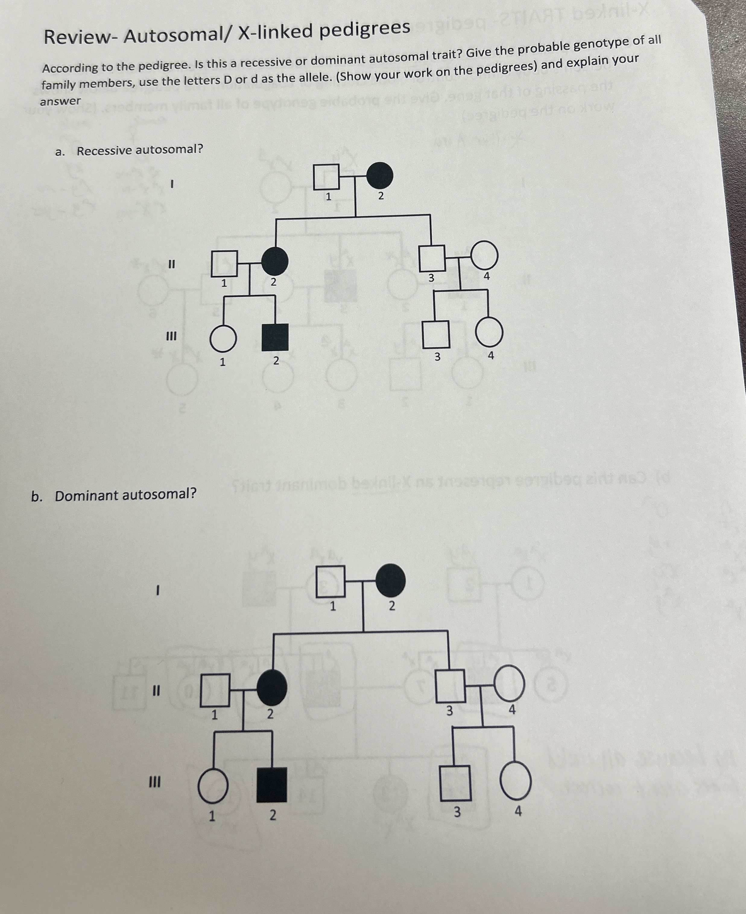 Solved Review- ﻿Autosomal/ ﻿X-linked pedigreesAccording to | Chegg.com