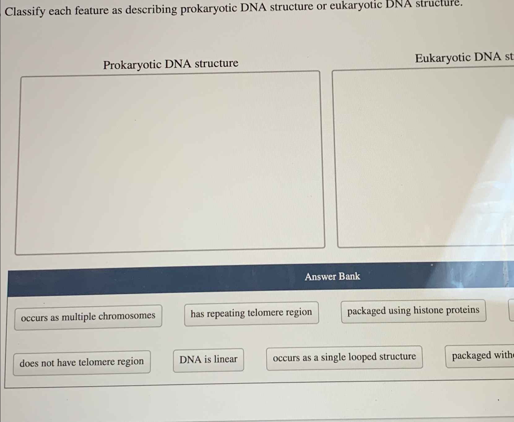 Solved Classify each feature as describing prokaryotic DNA | Chegg.com