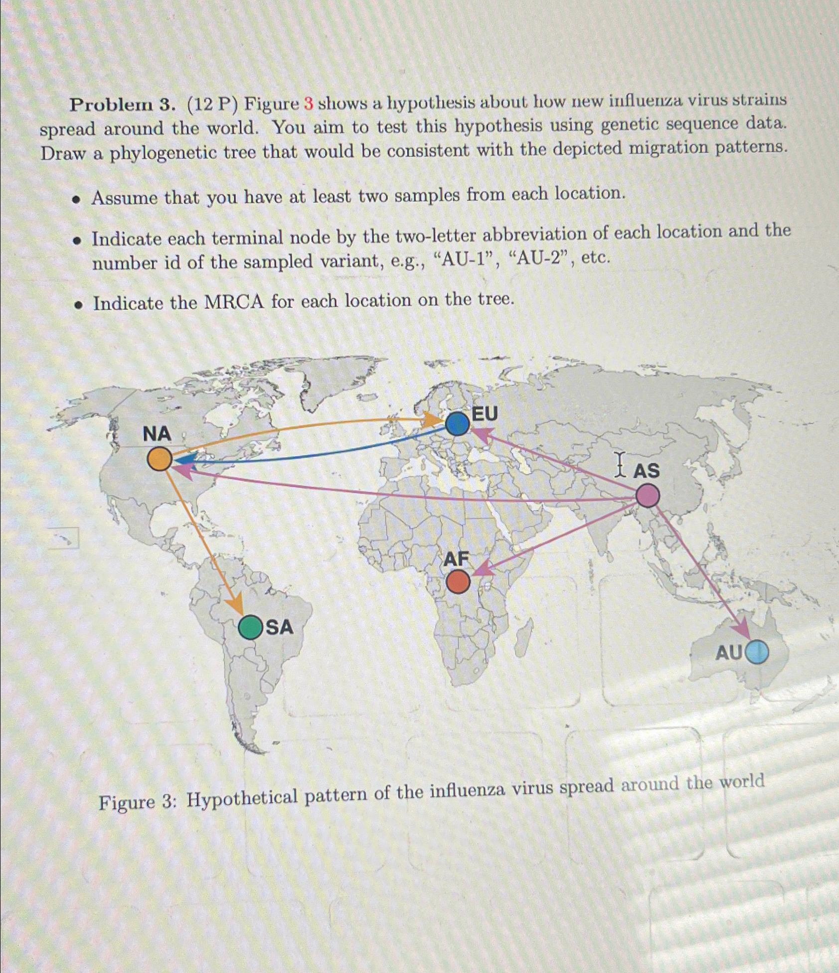 Solved Problem 3. (12 ﻿P) ﻿Figure 3 ﻿shows a hypothesis | Chegg.com