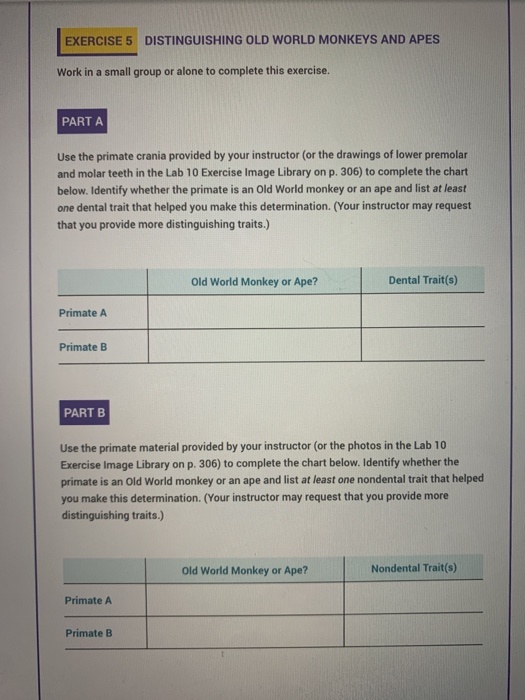 EXERCISE 4 DISTINGUISHING NEW WORLD MONKEYS AND OLD | Chegg.com