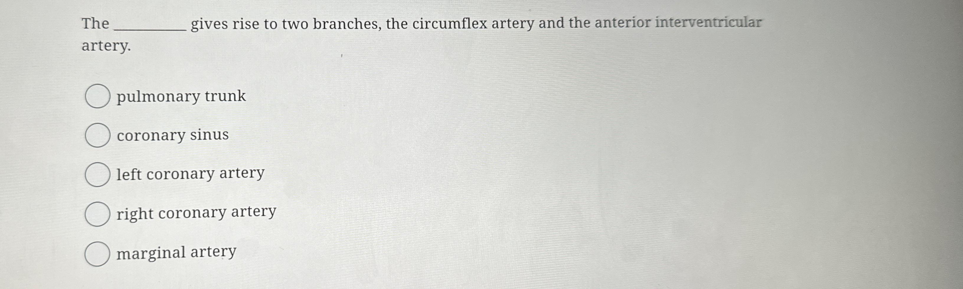 Solved Tl ﻿gives rise to two branches, the circumflex artery | Chegg.com