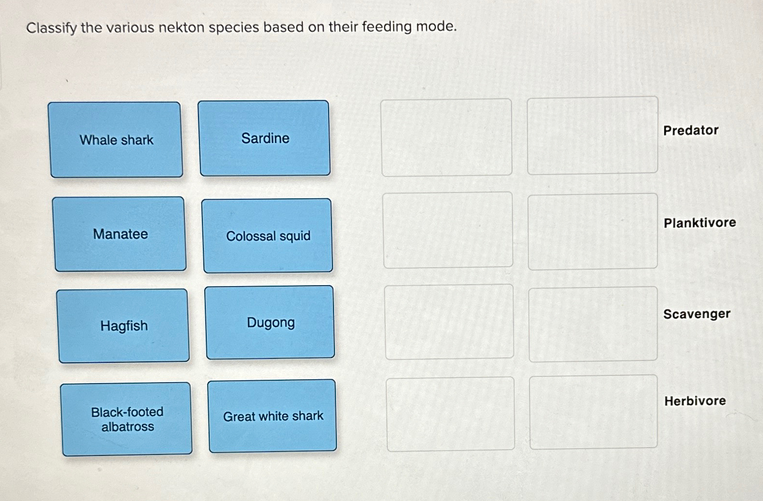 Solved Classify the various nekton species based on their | Chegg.com