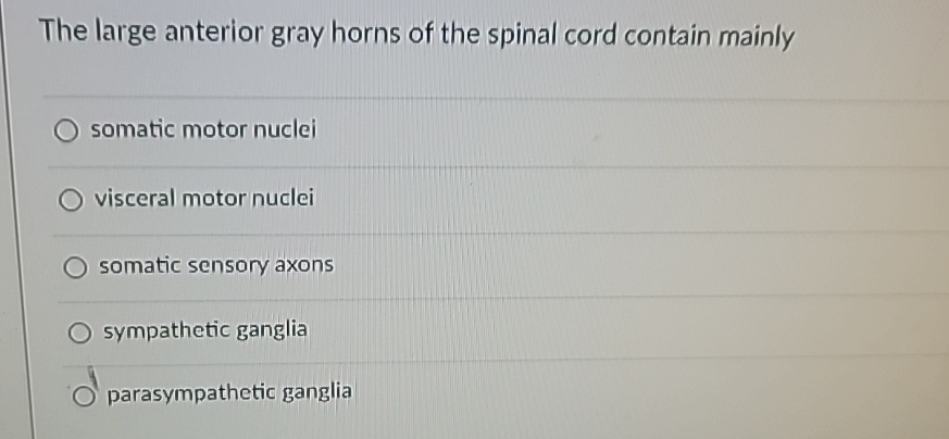 Solved The large anterior gray horns of the spinal cord | Chegg.com