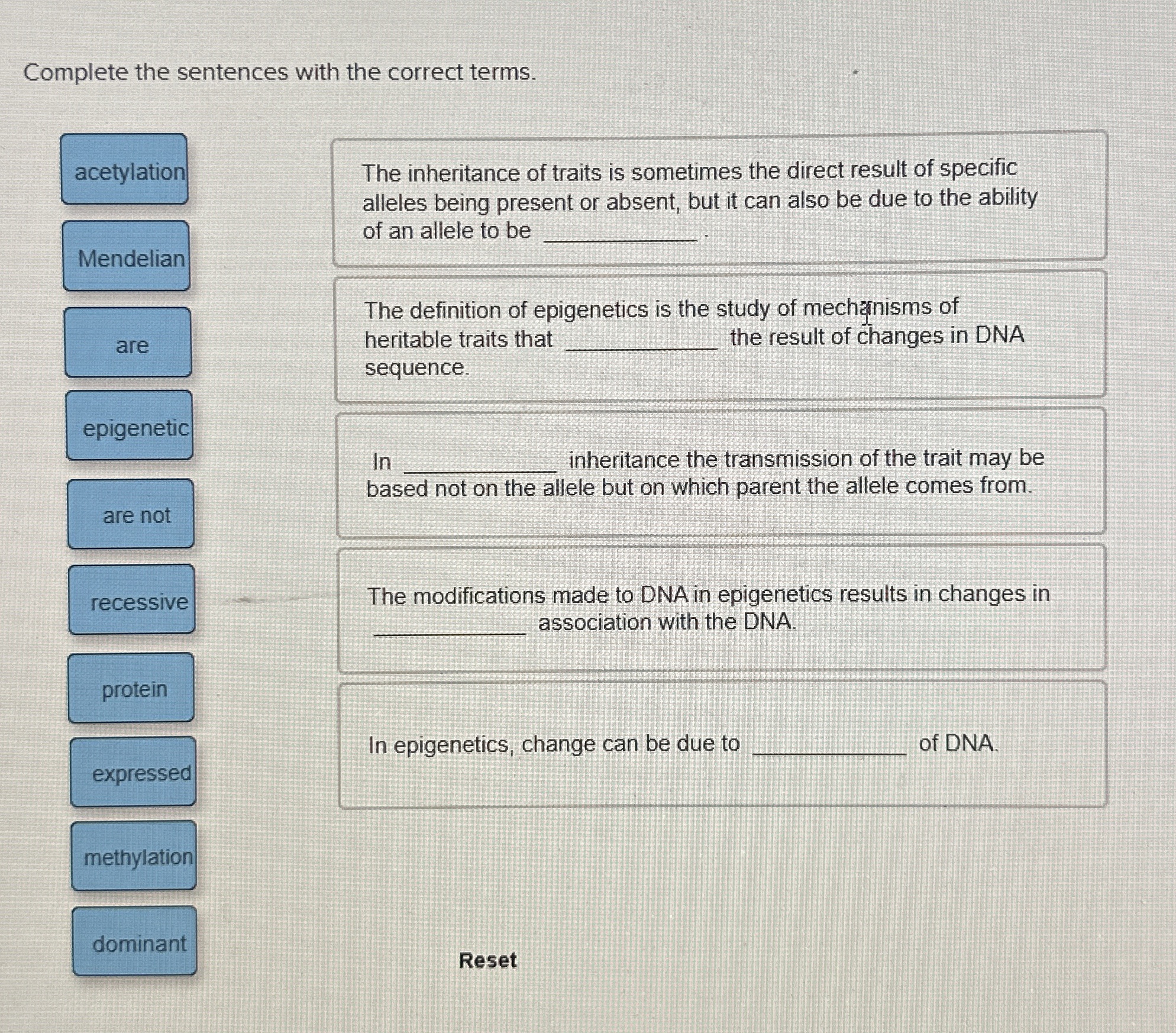 Solved Complete the sentences with the correct terms.The | Chegg.com
