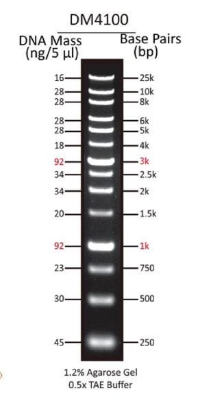 Solved Please explain the results of the experiment | Chegg.com