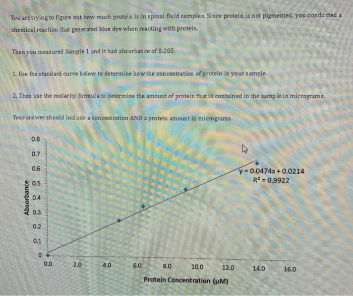 Solved You are trying to figure out how much protein is in | Chegg.com