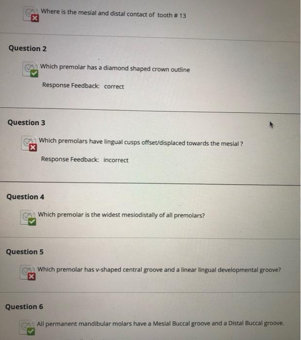 Solved Where is the mesial and distal contact of tooth #13 X | Chegg.com