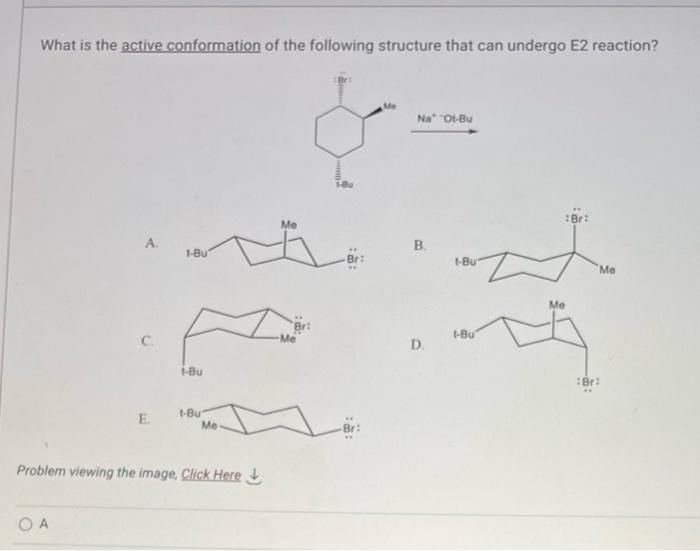 Solved What is the active conformation of the following | Chegg.com