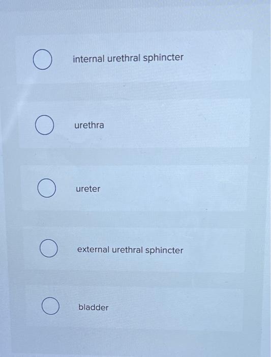 Solved 1internal urethral sphincter urethra ureter external | Chegg.com
