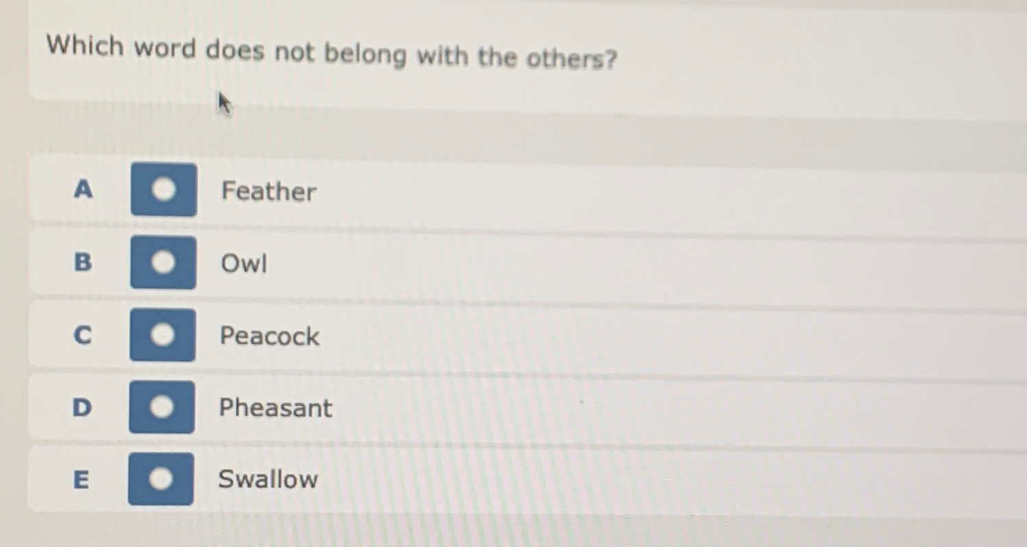 Solved Which word does not belong with the | Chegg.com