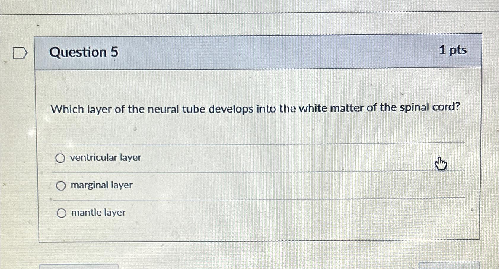 Solved Question 51 ﻿ptsWhich layer of the neural tube | Chegg.com