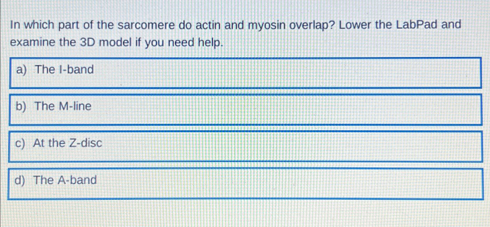 Solved In which part of the sarcomere do actin and myosin | Chegg.com