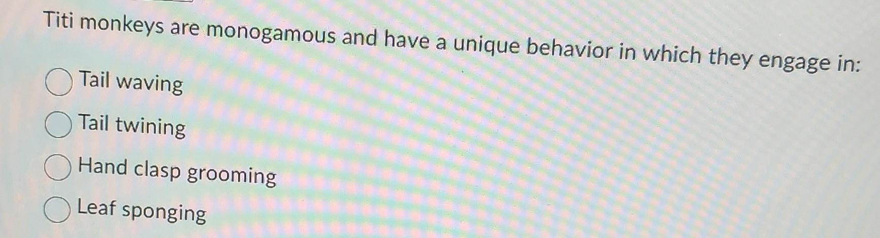 Titi monkeys are monogamous and have a unique | Chegg.com