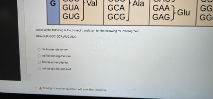 Solved G Val GUA GUG Ala GCA GAA GCG GAG G} Glu GG GG Which | Chegg.com