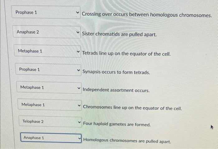 Solved please let me know if im right or wrong and if im | Chegg.com
