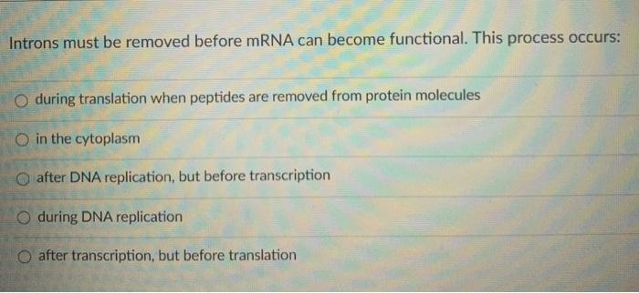 Solved Introns must be removed before mRNA can become | Chegg.com