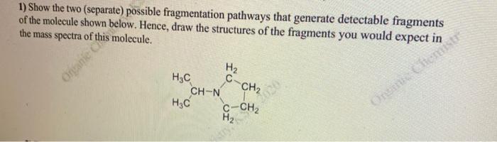 Solved 1) Show the two (separate) possible fragmentation | Chegg.com