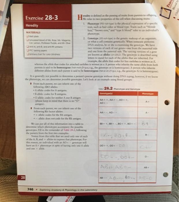Solved Exercise 28-3 Heredity 28 MATERIALS Well plate | Chegg.com