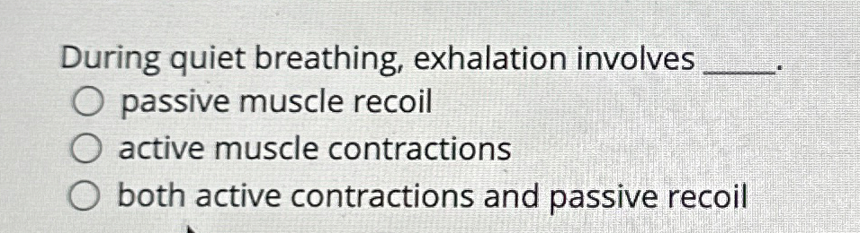 Solved During quiet breathing, exhalation involves passive | Chegg.com