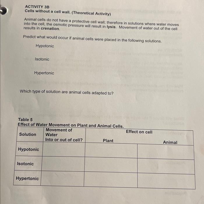 Solved ACTIVITY 3 B Cells without a cell wall. (Theoretical | Chegg.com