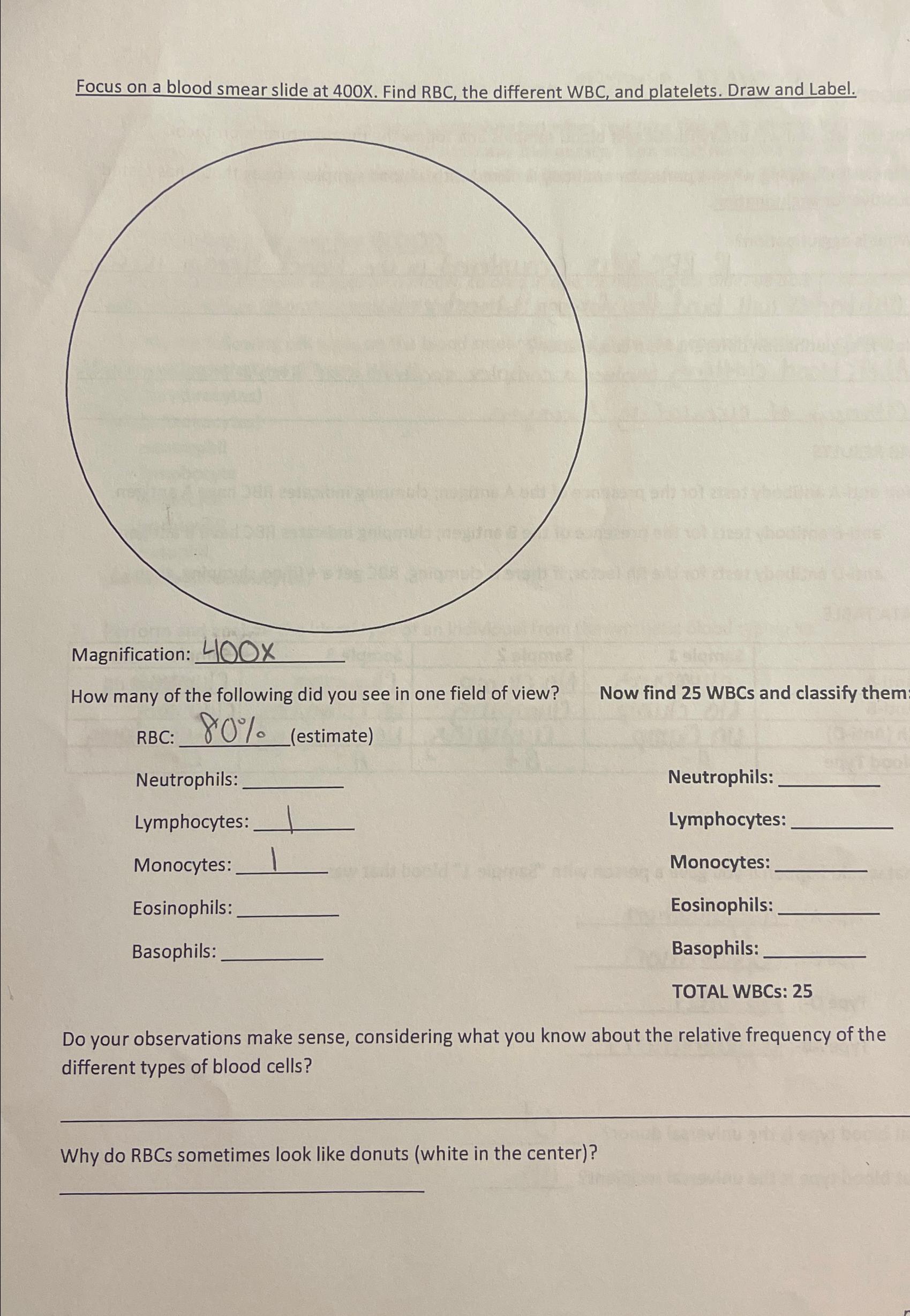 Solved Focus on a blood smear slide at 400X. ﻿Find RBC, ﻿the | Chegg.com