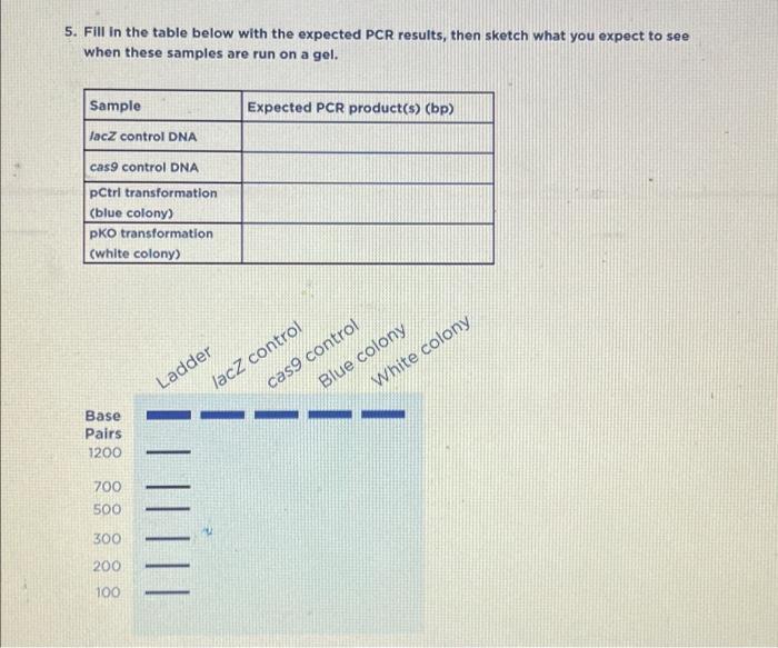5. Fill in the table below with the expected PCR | Chegg.com
