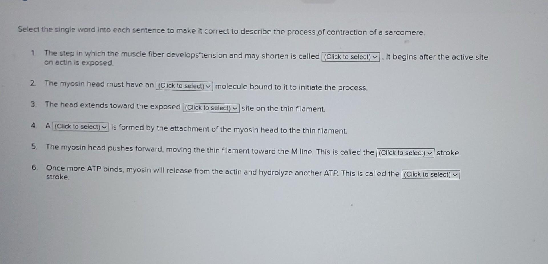 Solved Select the single word into each sentence to make it | Chegg.com