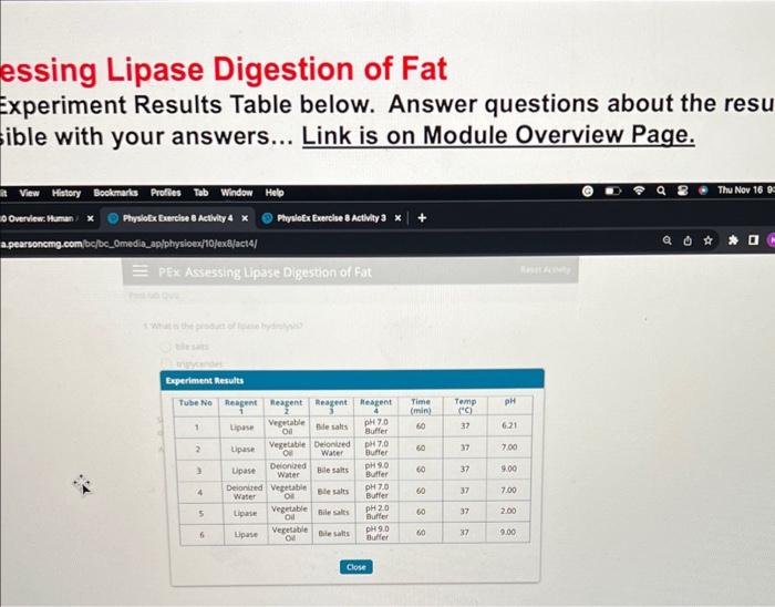 Solved essing Lipase Digestion of Fat Experiment Results | Chegg.com