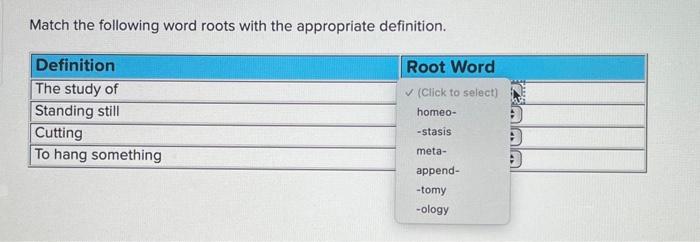 Solved Match the following word roots with the appropriate | Chegg.com