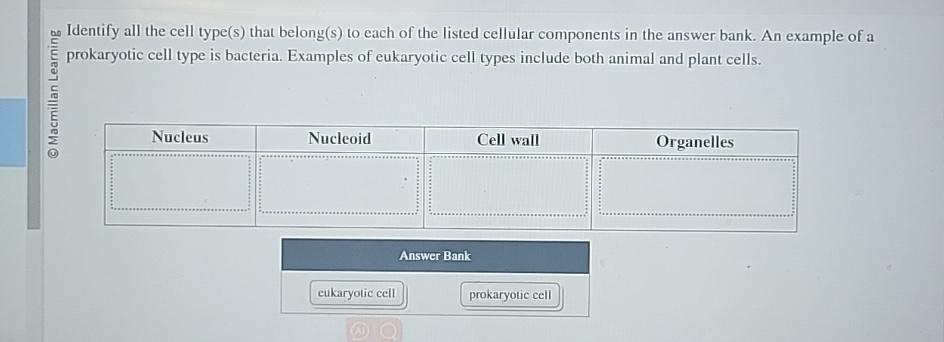 Solved Identify all the cell type(s) ﻿that belong(s) ﻿to | Chegg.com