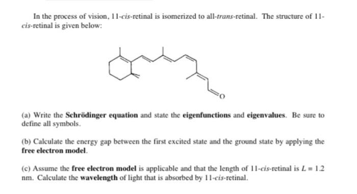 Solved In the process of vision, 11-cis-retinal is | Chegg.com