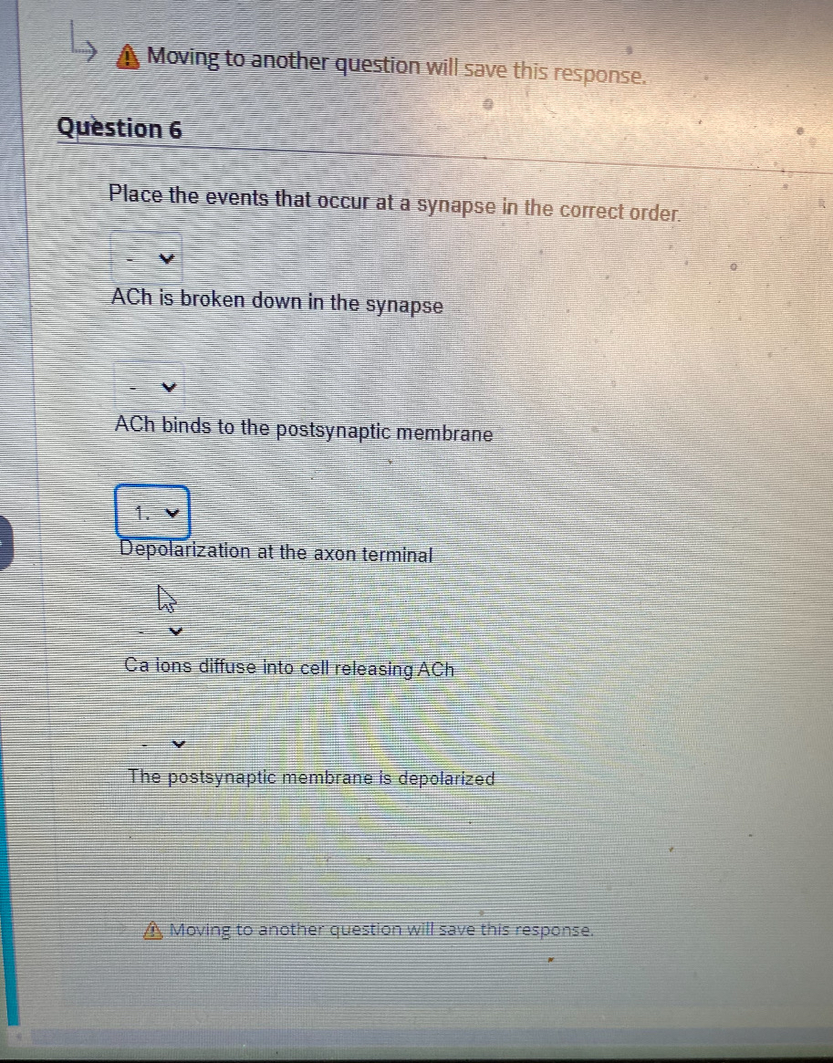 Solved Place the events that occur at a synapse in the | Chegg.com