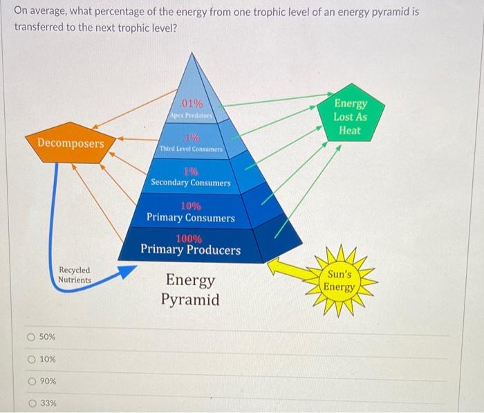 Solved On average, what percentage of the energy from one | Chegg.com
