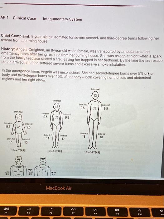 Solved AP 1 Clinical Case Integumentary System Chief | Chegg.com