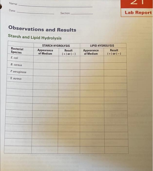 Solved Name: 2 Date Section Lab Report Observations and | Chegg.com