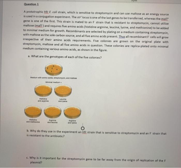 Solved Question 1 A prototrophic Hfr E. coli strain, which | Chegg.com
