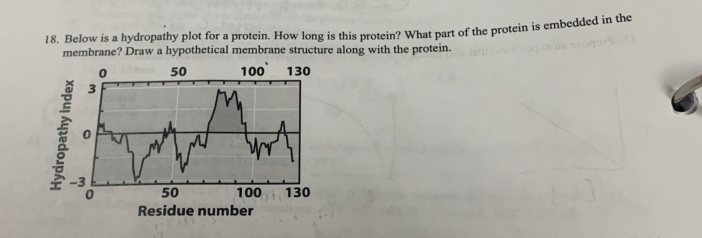 Solved Below is a hydropathy plot for a protein. How long is | Chegg.com