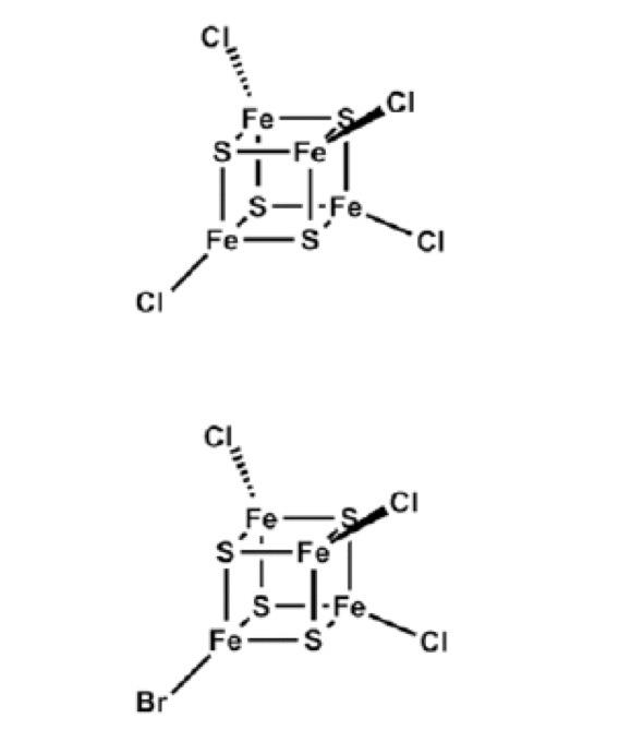 A. Assign a point groupB. Assign the oxidation state | Chegg.com A. Assign a point groupB. Assign the oxidation state | Chegg.com