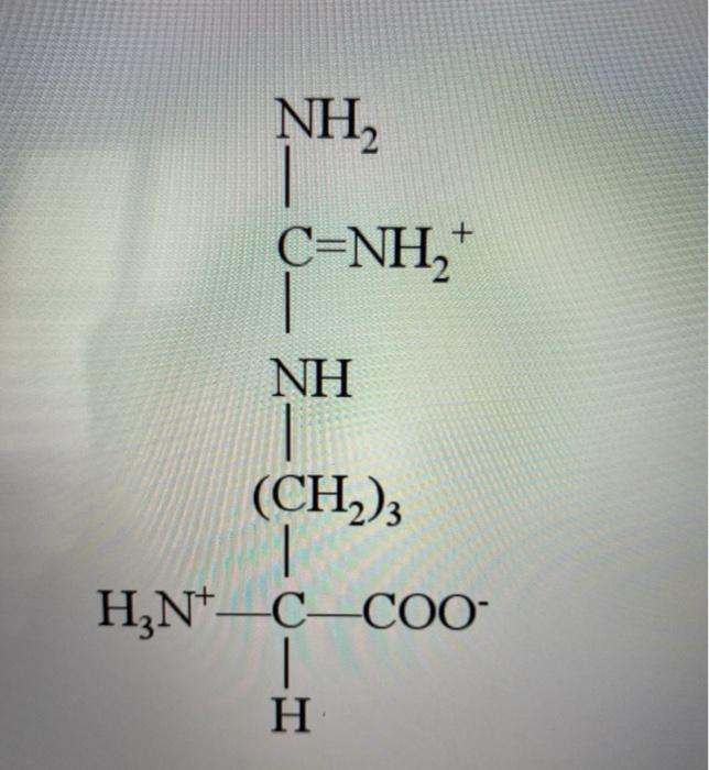 Solved CH | H2N+—C—COO |H NH + C=NH2 NH (CH2) H2N-C-COO 1 | Chegg.com
