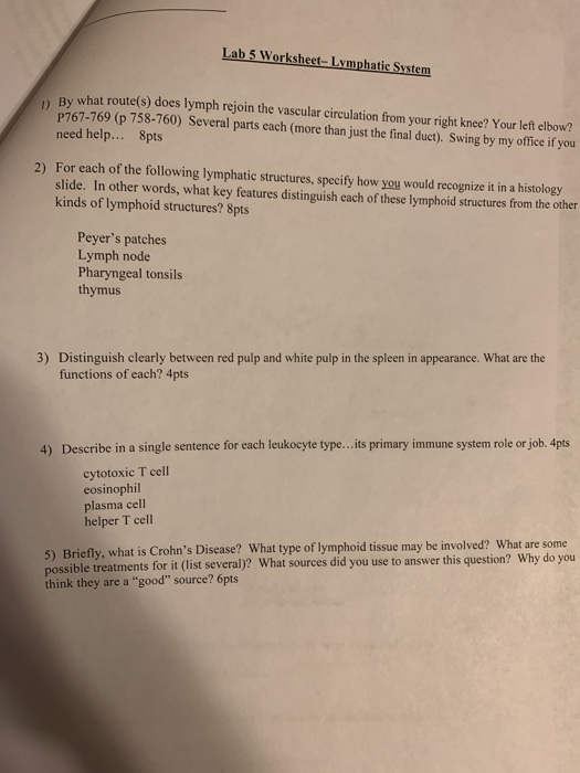 Solved Lab 5 Worksheet-Lymphatic System Ry what route(s) | Chegg.com